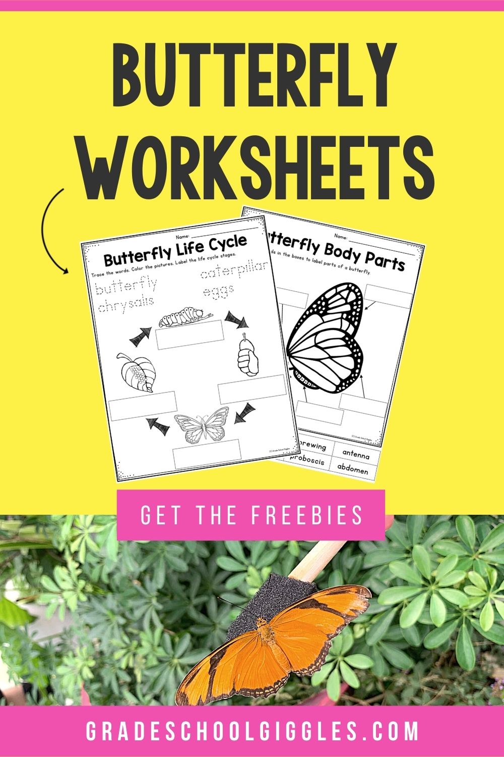 7 Simple Butterfly Life Cycle Activities For Kids - Grade School Giggles